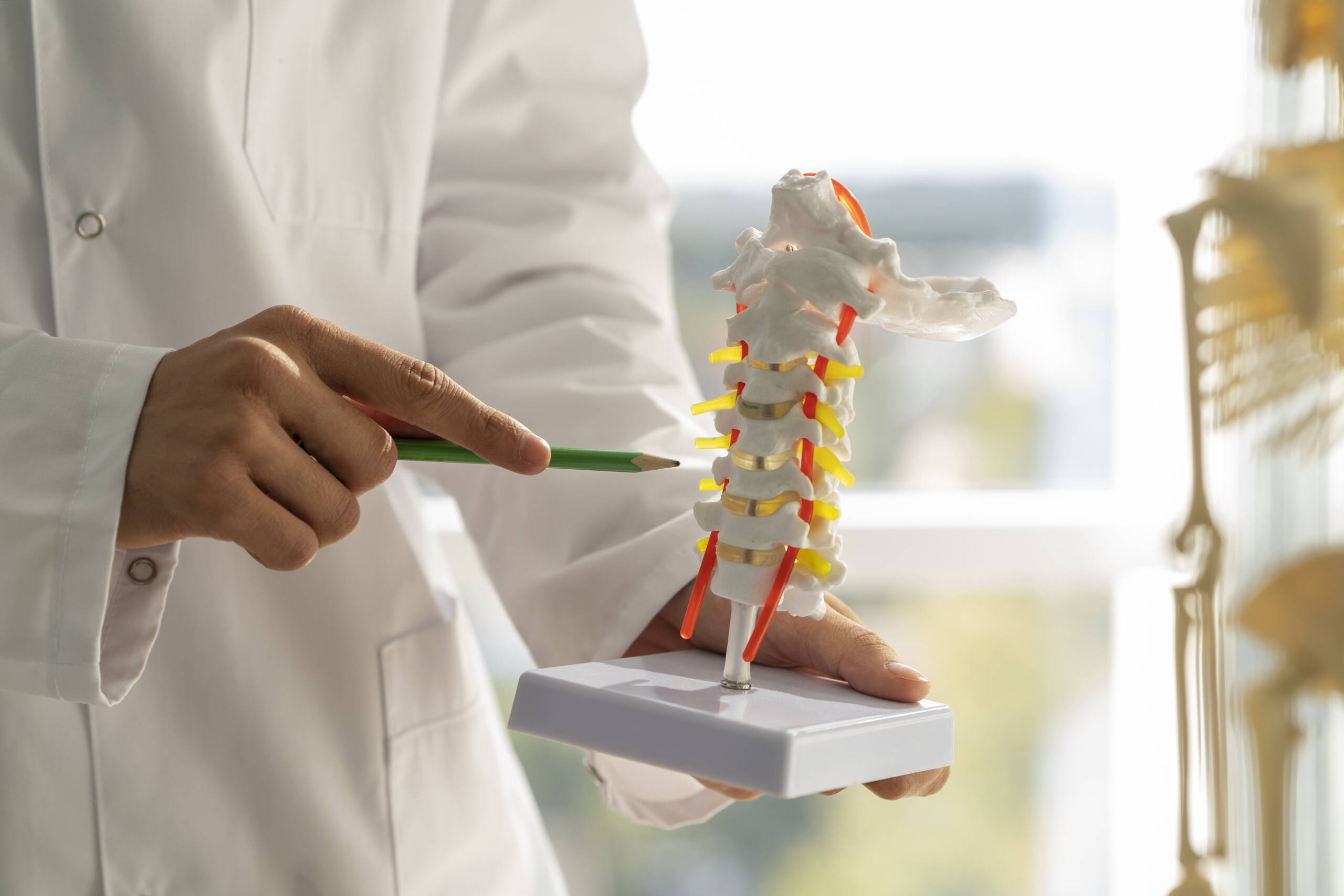 Spinal Manipulation - Cerebral Health and Spine Care